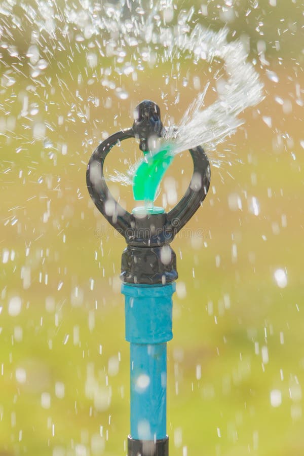 Working water sprinkler stock image. Image of fresh, outdoor - 73210339