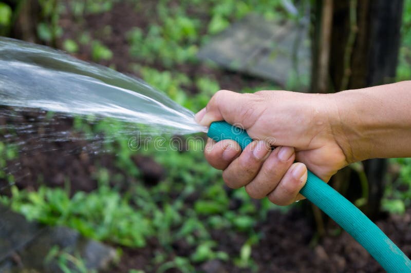 Working watering stock photo. Image of horizontal, outdoors - 38850772