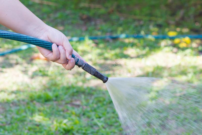 Working Watering Garden from Hose Stock Image - Image of feedwater ...