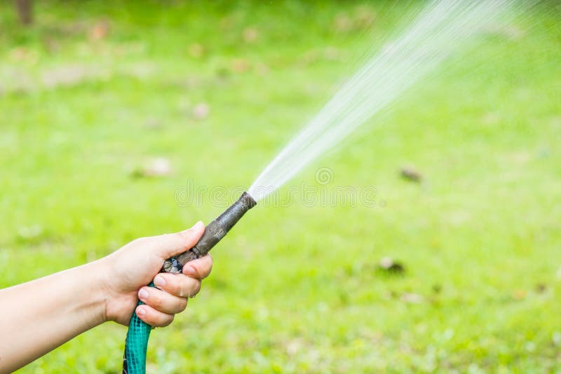 Working Watering Garden from Hose Stock Photo - Image of agriculture ...