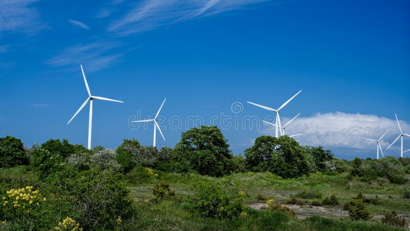 Working Wind Farms Clear Weather Behind Trees Stock Photos - Free ...