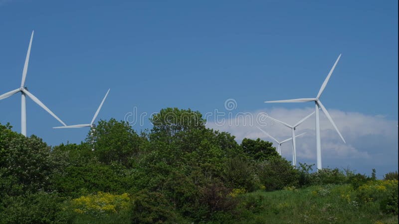 Working Wind Farms in Clear Weather Behind the Trees Stock Video ...