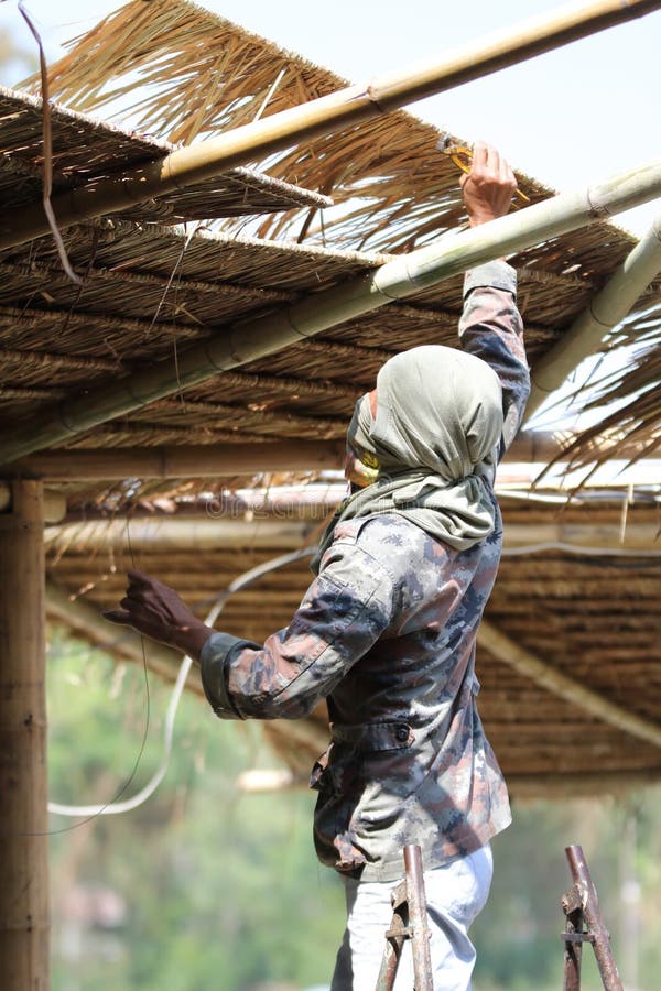 Workman stock image. Image of roofing, tool, home, person - 66644107