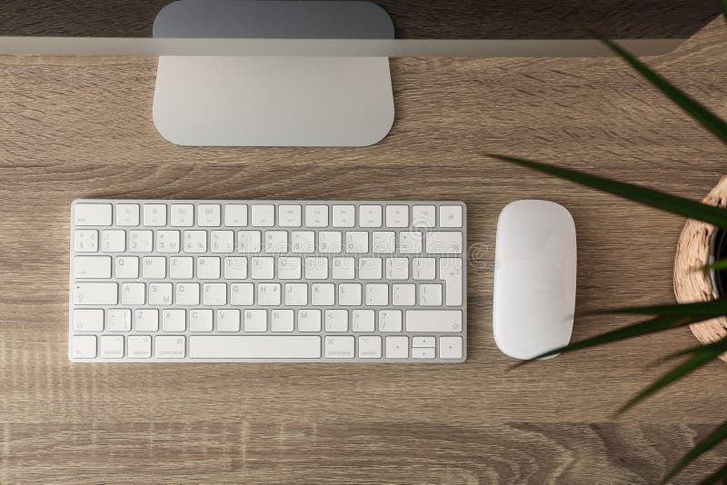 Workplace with Computer and Plant on Table, Top View Editorial ...
