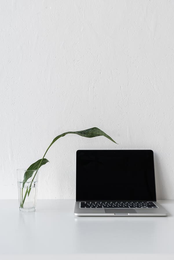 Workplace with Laptop Computer and Floral Leaves Stock Image - Image of ...