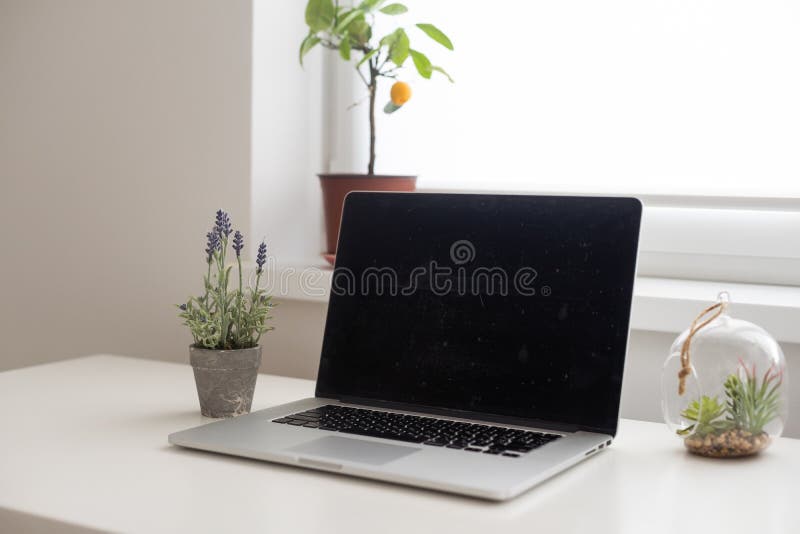 Workplace with Laptop on the Table Stock Photo - Image of indoor ...