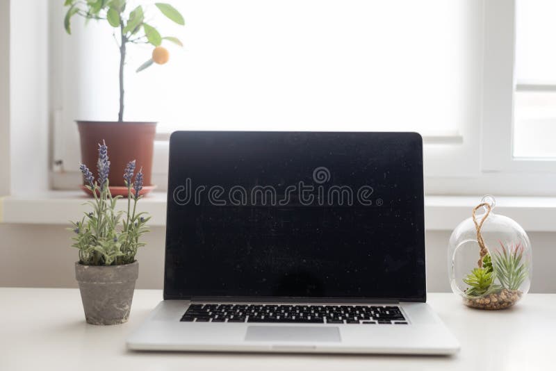 Workplace with Laptop on the Table Stock Photo - Image of computer ...