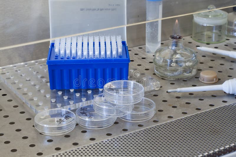 The Workplace of the Researcher in the Laminar Box. Stock Photo - Image ...