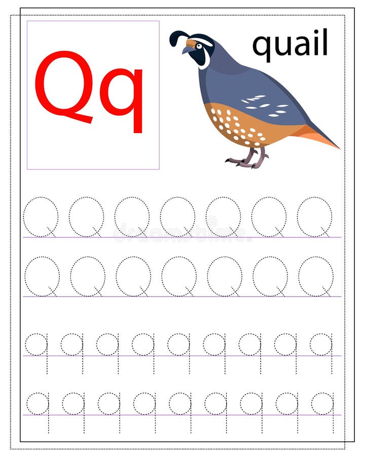 Note Book Page Alphabet English Q Stock Illustrations – 1 Note Book ...
