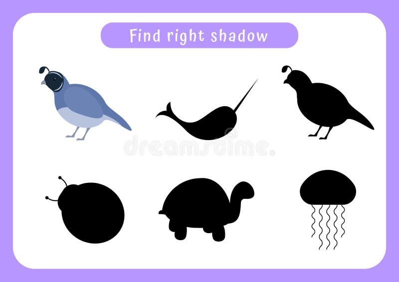 Worksheet Find Right Shadow. Educational Game for Children Stock Vector ...