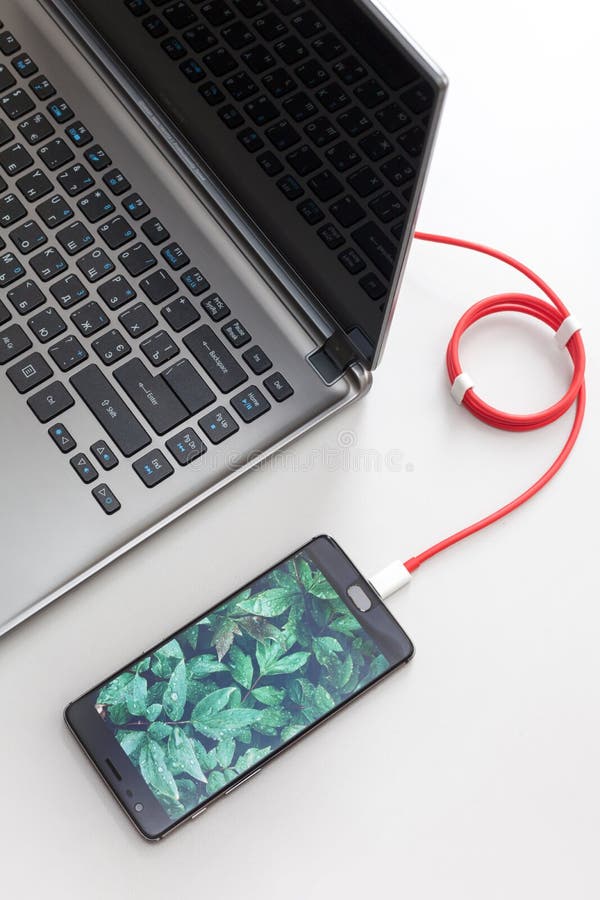 Workspace with Smartphone with Green Plants Screen is Connecting To ...