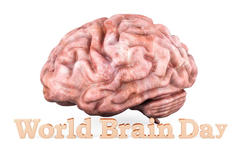 World Brain Day, Concept. 3D Rendering Stock Illustration ...