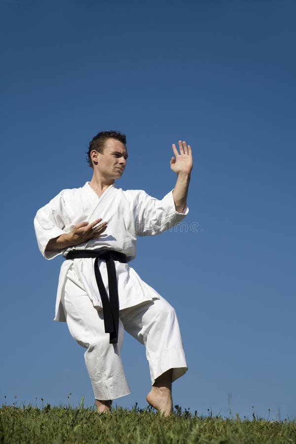 Karate kata stock image. Image of white, punch, force - 22068773
