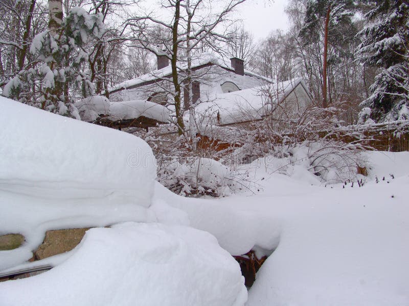 The World is Covered with Snow Stock Photo - Image of country, bright ...