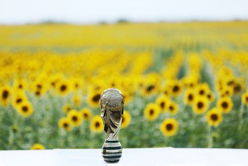 Two Sunflowers With Football Stock Photo - Image of congratulate ...