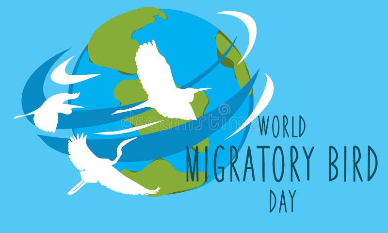 World Day of Migratory Birds. Template for Background, Banner, Postcard ...