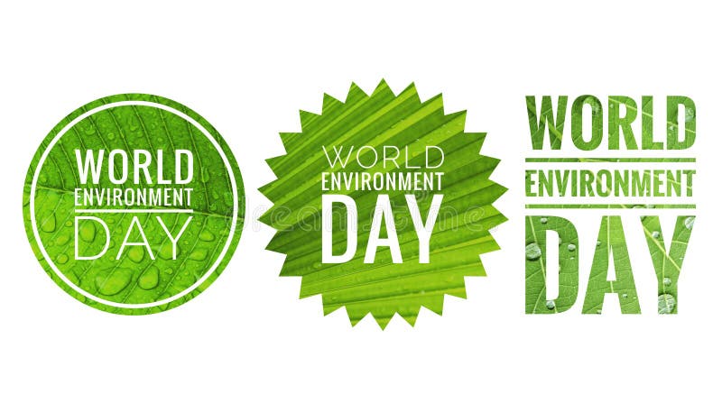 World Environment Day Banner with Natural Green Leaf Pattern Isolate on ...