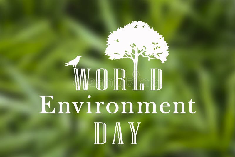 World Environment Day. Beautiful White Text Stock Illustration ...