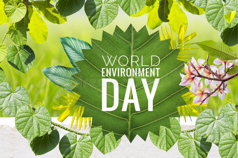 World Environment Day Logo with Green Leaves and Flower Stock Image ...