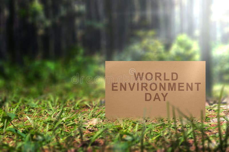 World environment day stock image. Image of protection - 275598659