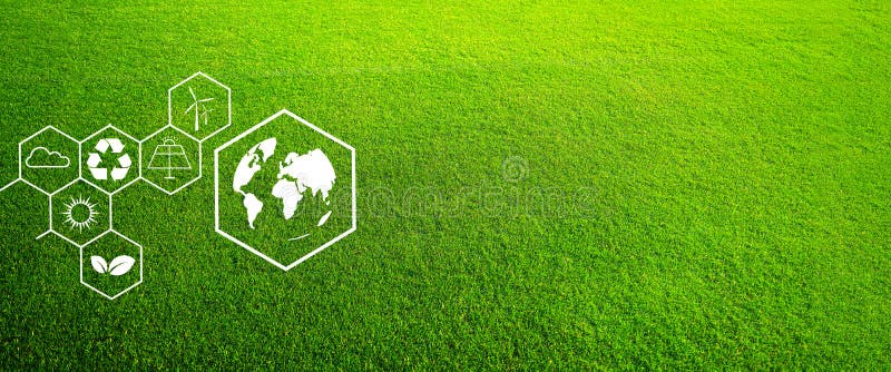 World Environment Day, World Environment and Sustainable Development ...