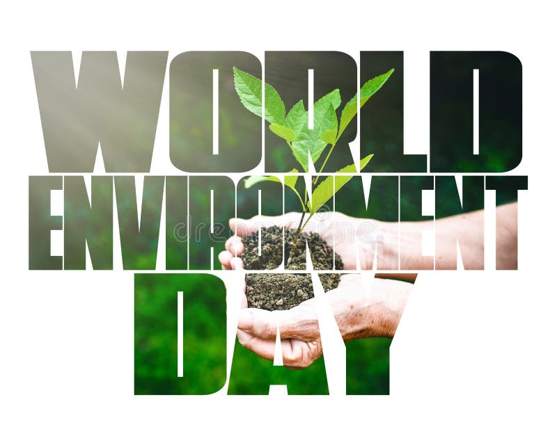 World Environment Day Text, Old and Young Hands, Green Sprout, White ...