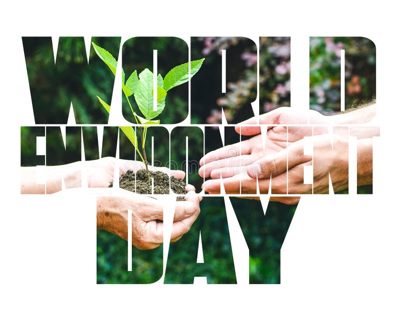 World Environment Day Text, Old and Young Hands, Green Sprout, White ...