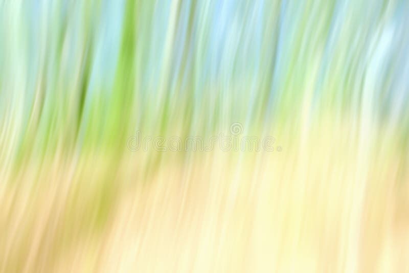 World Environment Green Tree Day Concept. Abstract Blurred Trees ...