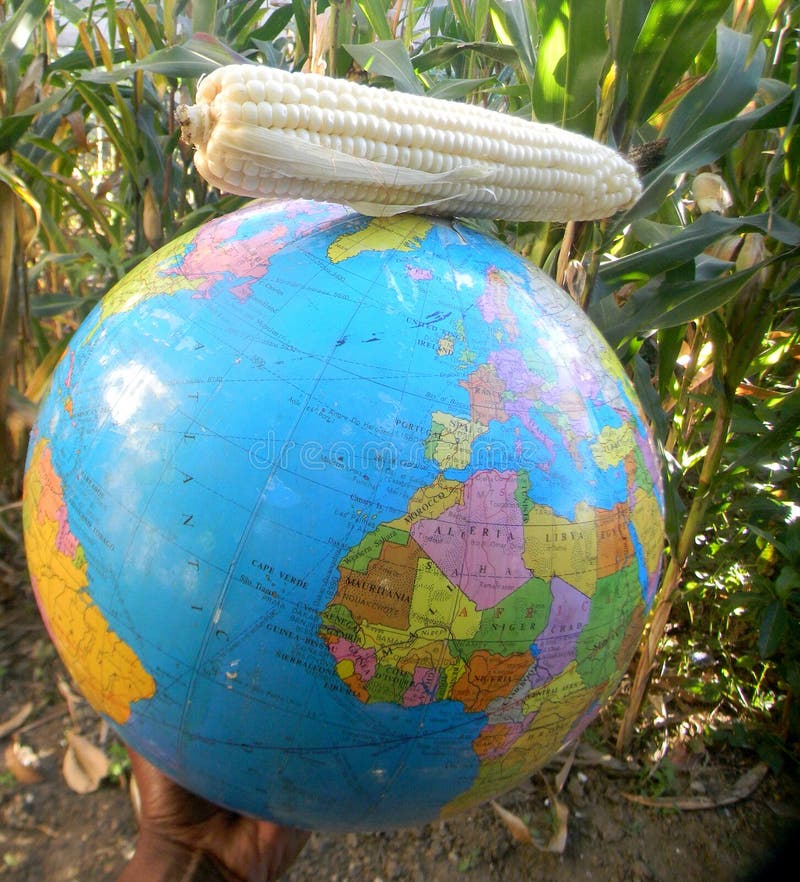 652 Corn Map Stock Photos - Free & Royalty-Free Stock Photos from ...