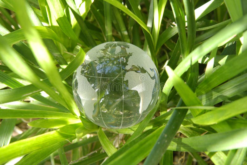 The World Growing from the Soil Stock Image - Image of peace, earth ...