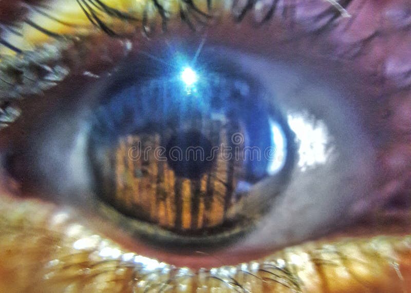 World inside your eye stock image. Image of world, macro - 133979523