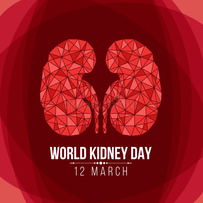 World Kidney Day with Abstract Triangle Kidney Sign on Red Background ...
