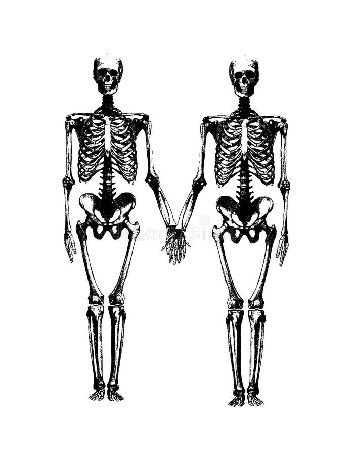 World map stock vector. Illustration of bone, black, devil - 6219529