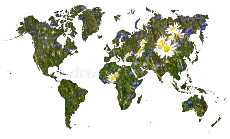 World Map with Cornflower Meadow Background Stock Image - Image of ...