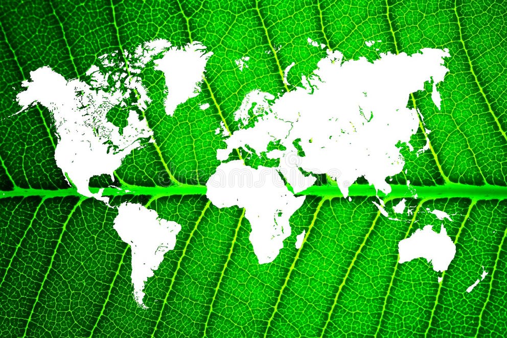 World map in a leaf stock photo. Image of environment - 25812938