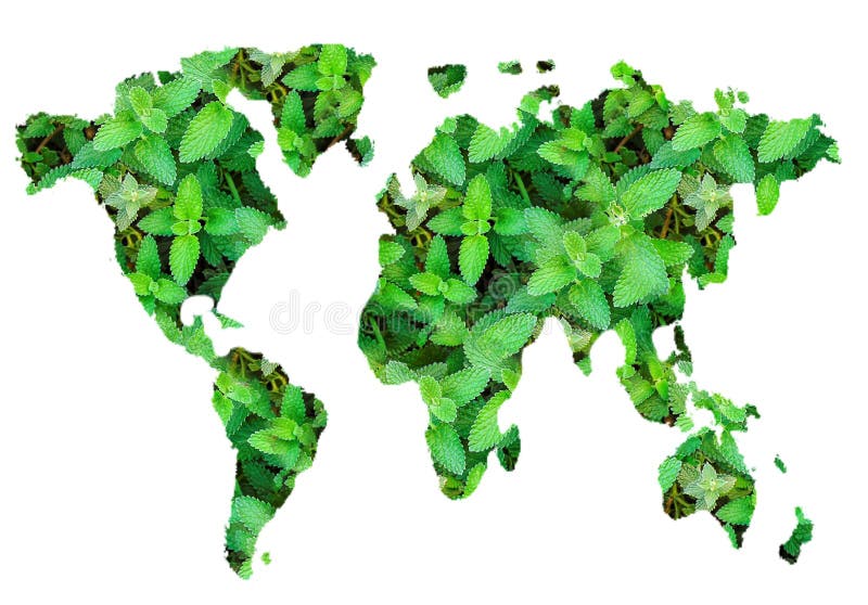 World Map. Mint Leaves Texture Stock Image - Image of white ...