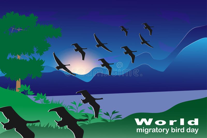 World migratory bird day stock vector. Illustration of national - 275190824