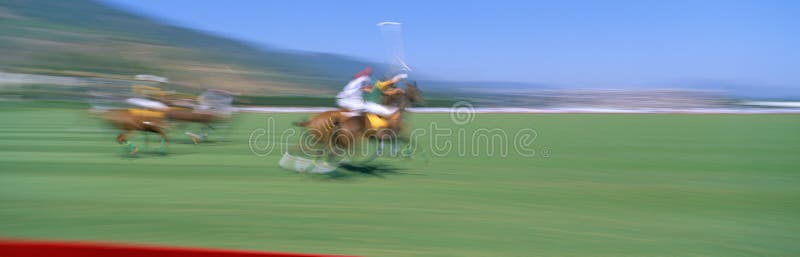 World Polo Championship editorial stock photo. Image of gallop - 23177148