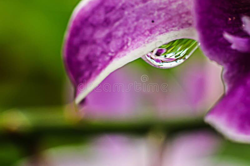 World through a raindrop stock photo. Image of hanging - 117778264