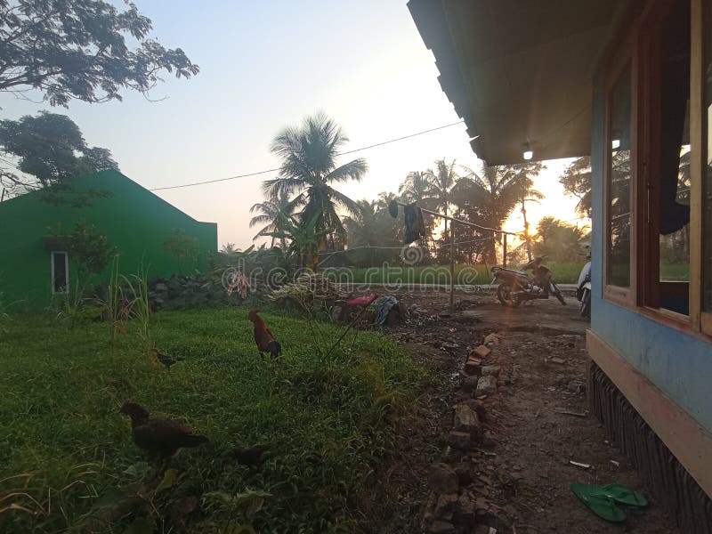 Beautiful World in West Java Stock Photo - Image of grass, leaf: 263694904