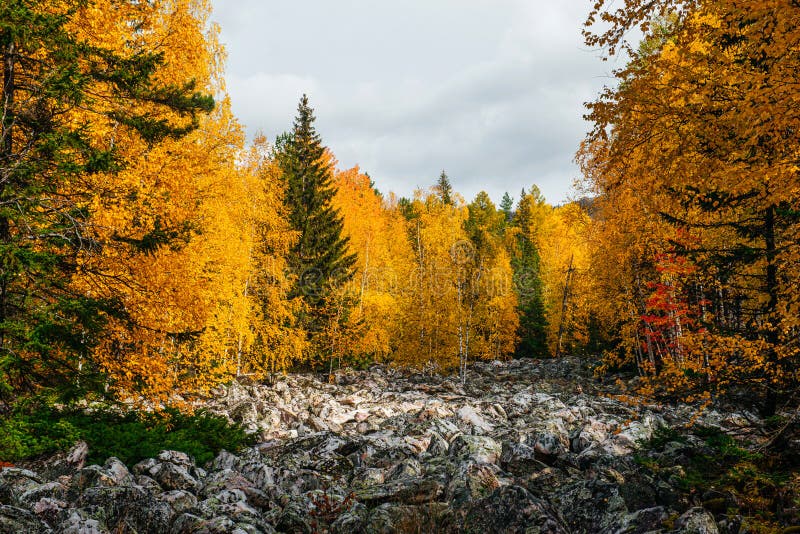 The World S Largest Stone River in Taganay National Park in Autumn ...
