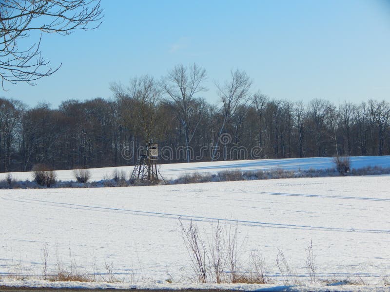 World of snow and ice stock photo. Image of world, winter - 212141152