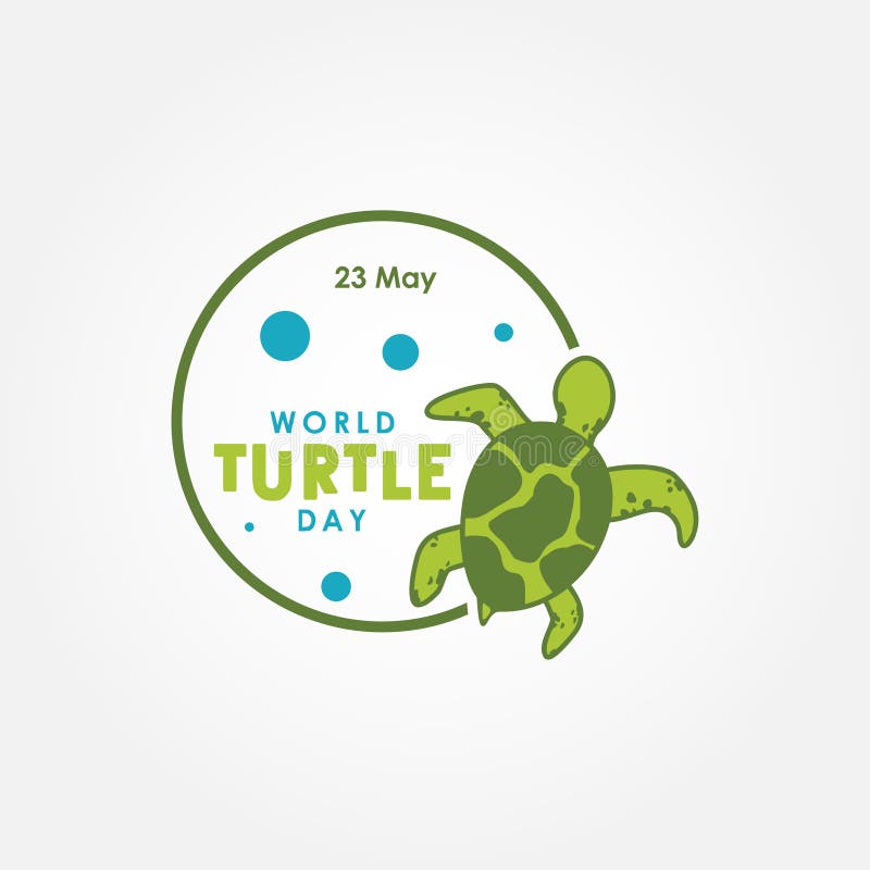 World Turtle Day Vector Design Illustration for Celebrate Moment Stock ...