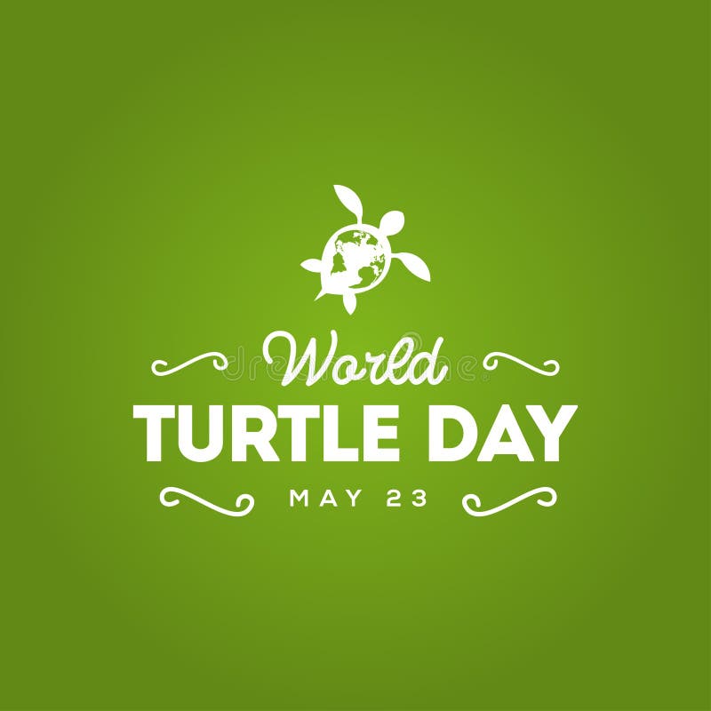 World Turtle Day Vector Design Illustration for Celebrate Moment Stock ...