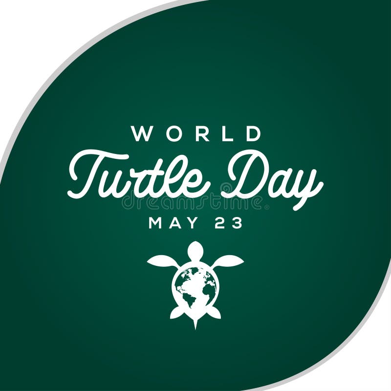 World Turtle Day Vector Design Illustration for Celebrate Moment Stock ...