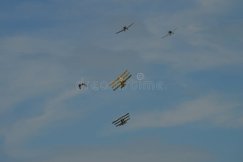 Collection of 4 planes stock photo. Image of bird, collection - 99176458