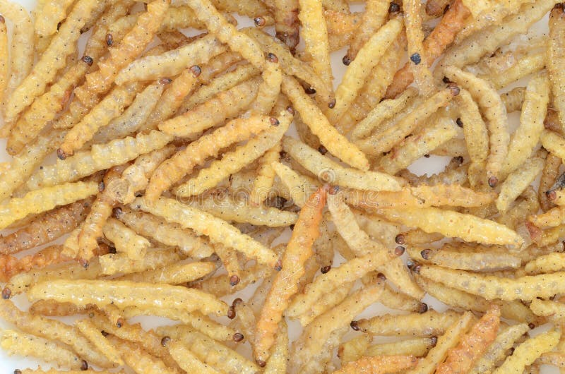 Worm stock photo. Image of snack, masses, maggot, thailand - 24684774