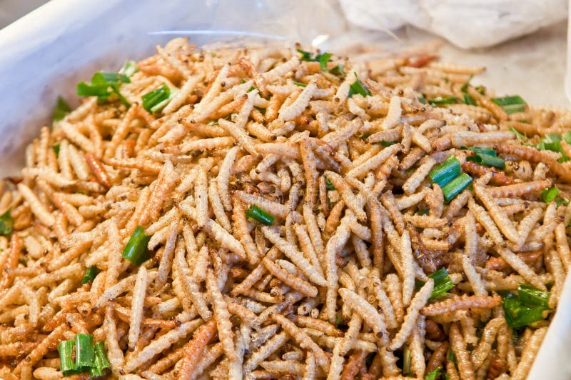 Worm as snack. stock image. Image of asian, prepared - 22587545