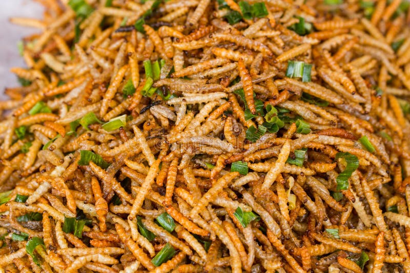 Worm Bug Fried Asian Insect Snack Food Stock Photo - Image of crispy ...