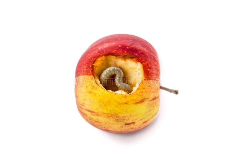 Worm eating an apple stock illustration. Illustration of worm - 10302984